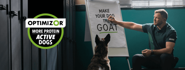 Is Your Dog The GOAT? - Optimizor Dog Food
